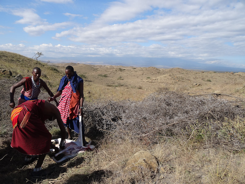 The Masai Experience at Africa Amini Life in Pictures – Aussie on the Road